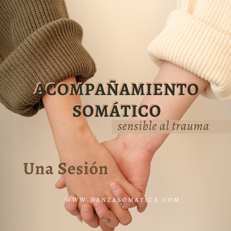 Sesión Acompañamiento Somático - Danza Somatica